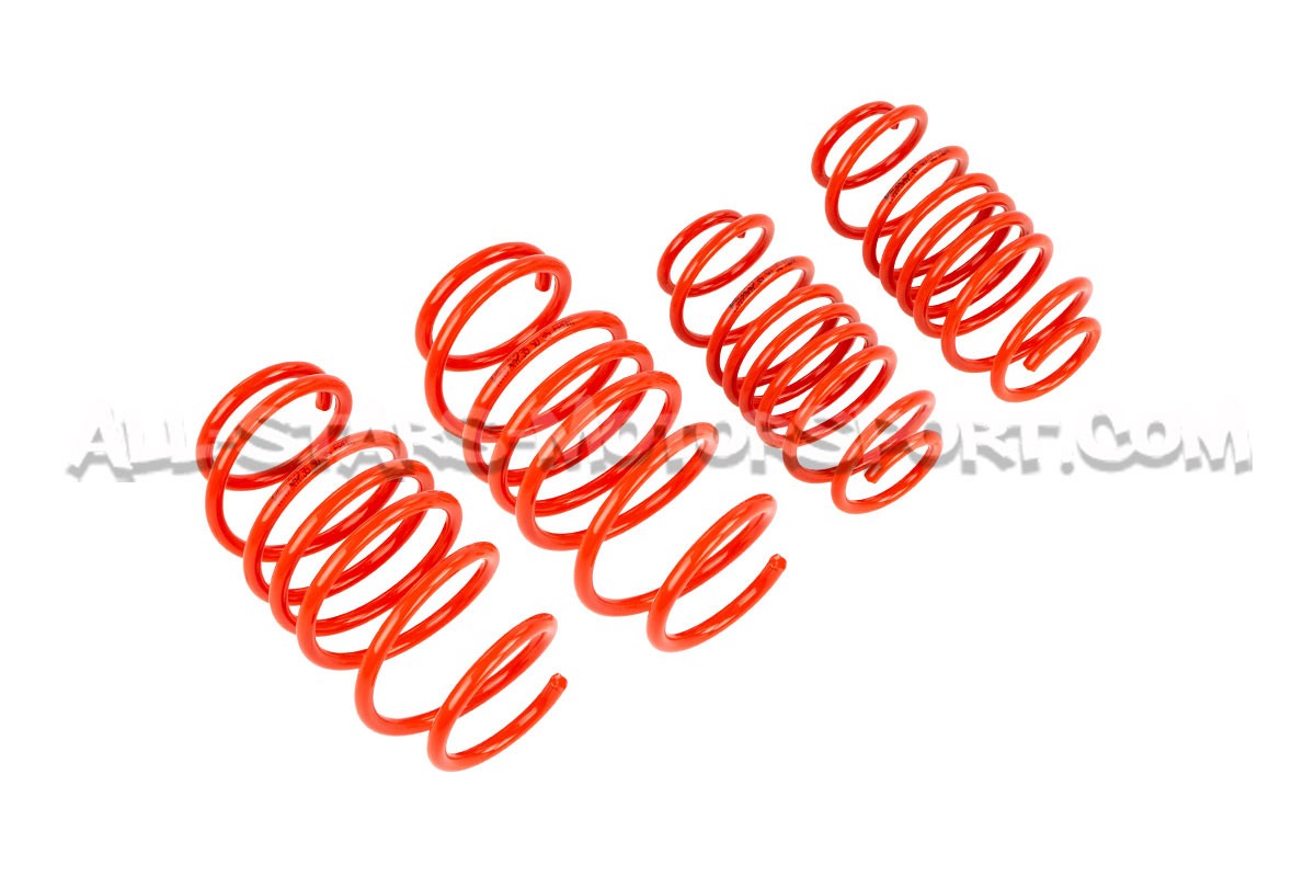 Suzuki Swift Sport ZC33S -30mm V-MAXX Lowering Springs