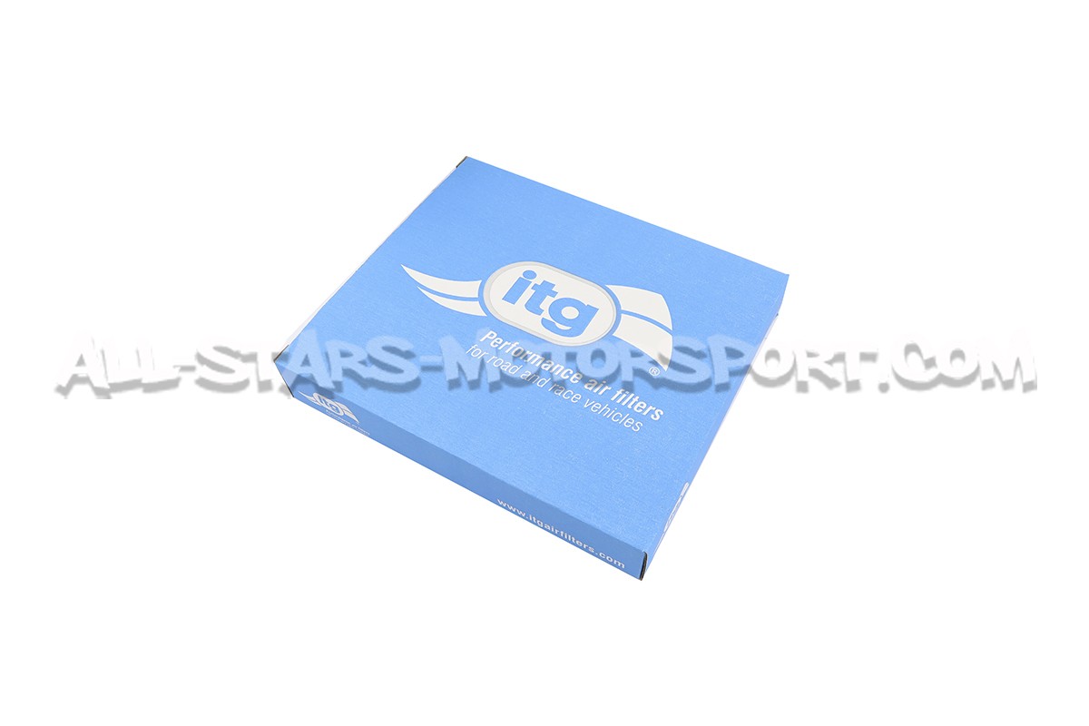 Renault Megane 4 RS ITG Profilter Panel Air filter